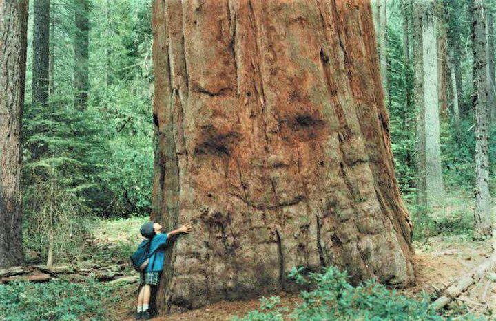 Clair ressenti et Géobiologie - Chenôve 21300 - Annuaire Thérapeutes